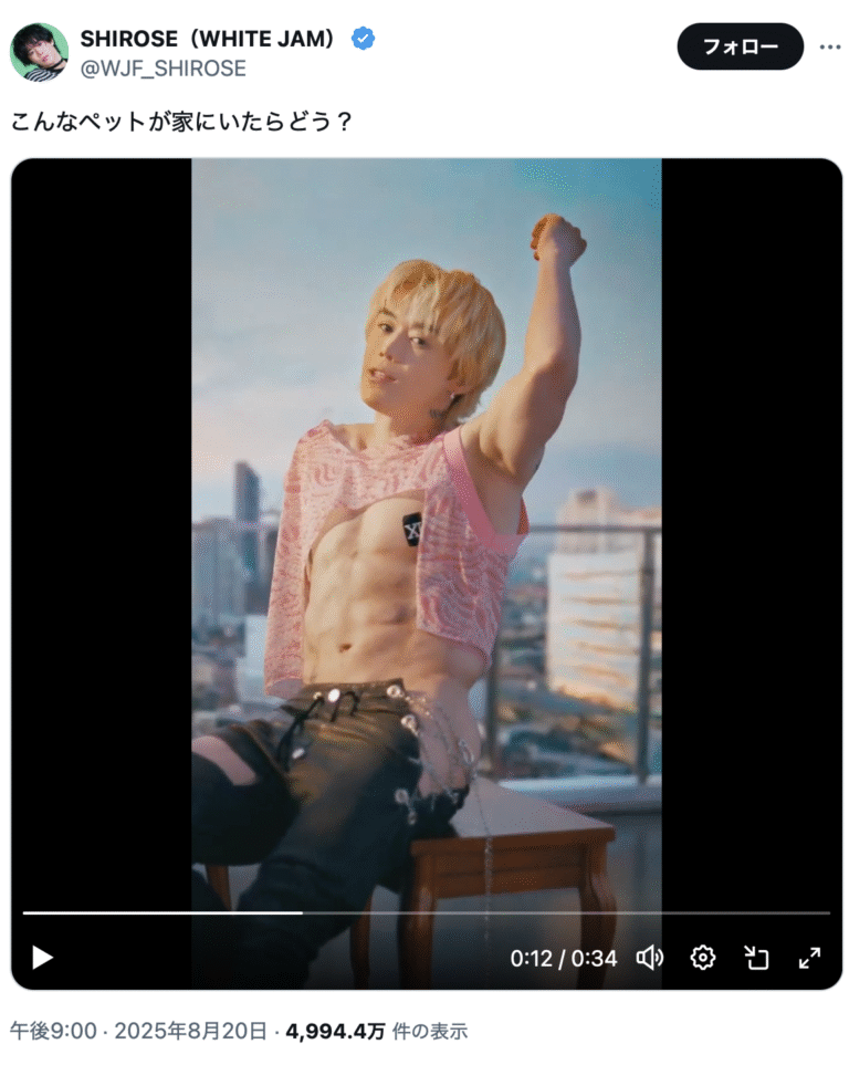 SHIROSEは何者?MVきもくて炎上だが実力はエグすぎ? | くろまめブログ